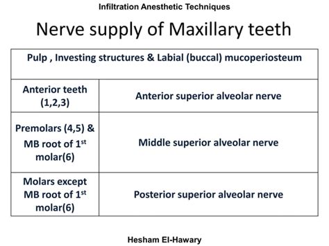 Maxillary Infiltration Anesthetic Techniques With Photos Pptx