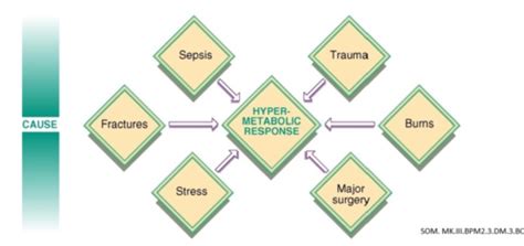 Nutrition And Intensive Care Dm Complications Flashcards Quizlet