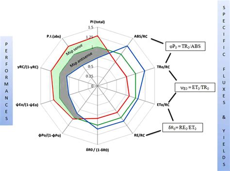 Radar Plot With A Series Of Parameters Derived From Jip Test Analyses
