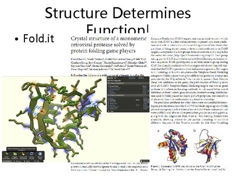 Biochemistry Lecture 6 Protein Function Structure Determines Function