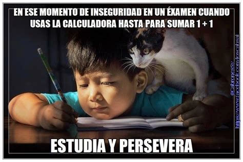 Frases Y Pensamientos Estudia Y Triunfa