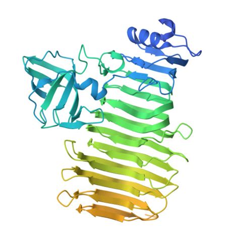 Rcsb Pdb 8bke Crystal Structure Of The Klebsiella Phage Kp34p57 Capsular Depolymerase