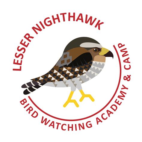 Lesser Nighthawk My Store