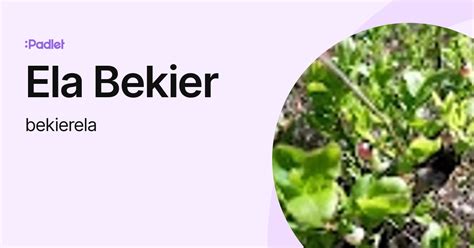 Ela Bekier Bekierela Profile Padlet