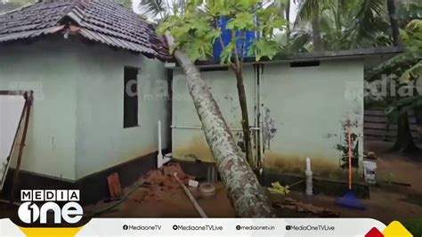 കനത്ത കാറ്റിലും മഴയിലും വീടിന് മുകളിൽ തെങ്ങ് വീണ് മൂന്ന് പേർക്ക്