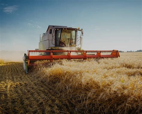 Why Is Agriculture Important Benefits And Its Role Explained