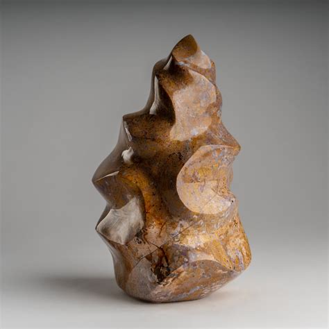 Astro Gallery Of Gems Genuine Polished Brown Lace Jasper Freeform 6