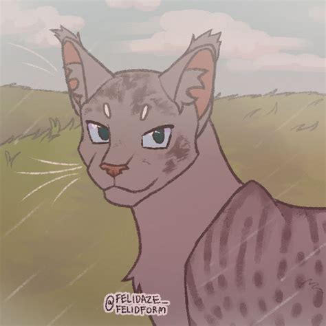 Ash Fur By Werewolf8478575 On Deviantart