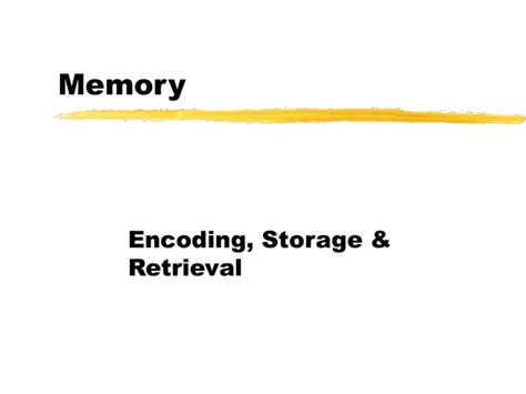 Sensory Memory