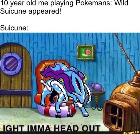 10 Year Old Me Playing Pokemans Wild Suicune Appeared Suicune I Ight