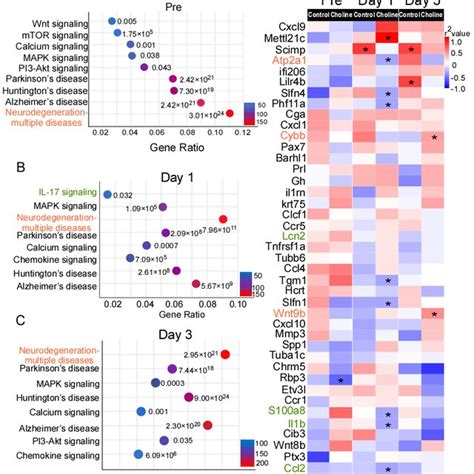Kegg Database Analysis Of The Signaling Pathway Annotations For