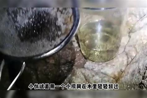 将干冰放到布满孑孓的臭水沟能将它们消灭掉不