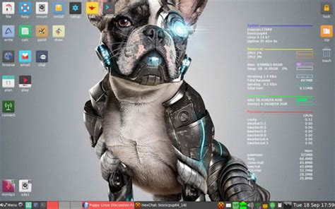 Descargar Puppy Linux gratis Última versión en español en CCM CCM