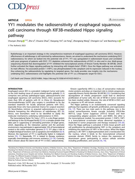 Pdf Yy1 Modulates The Radiosensitivity Of Esophageal Squamous Cell