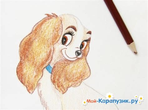 Как нарисовать собаку цветными карандашами