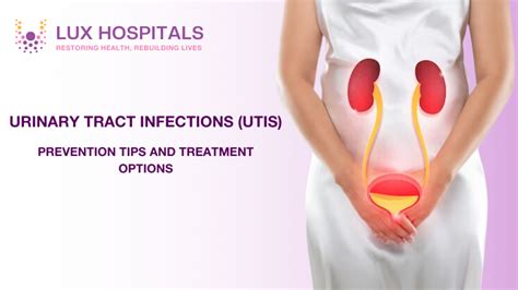 How To Prevent And Treat Urinary Tract Infections Utis Luxhospitals