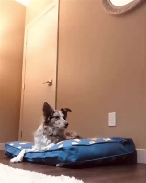 Video Selma Padilla Posted On Linkedin