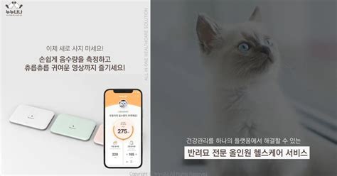 사업계획서 포트폴리오 이성훈 숨고 숨은고수