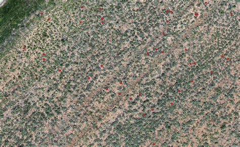 AI Powered Rock Detection For Safer Cultivation Proofminder