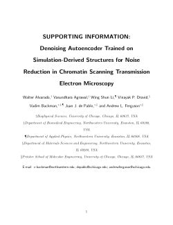 Denoising Autoencoder Trained On Simulation Derived Structures For