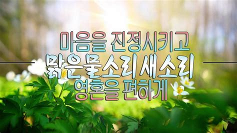 머리가 맑아지는 치유음악 🐛하루10분 만병을 치료 해주는 힐링 명상 기치료 음악 및 영상 아침명상음악 아침음악 힐링
