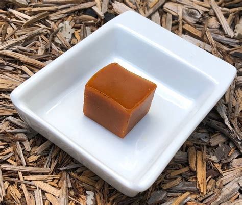 Propolis Wax Resin From Stingless Australian Native Bees Abeec