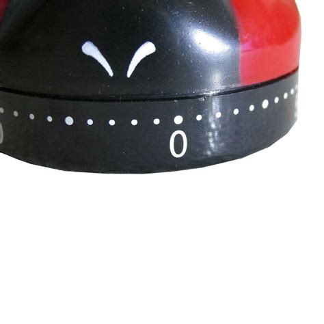 Ladybird Kitchen Bug Timer Cooking Aid
