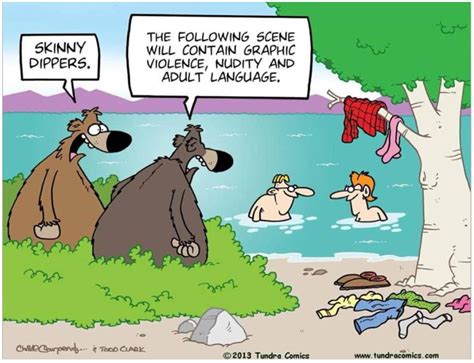 Pin By Roy David On Bears Funny Cartoon Pictures Funny Images