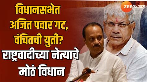 Amol Mitkari अजित पवार प्रकाश आंबेडकरांनी सोबत यावं अमोल मिटकरींचे
