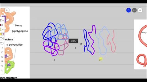 ការបាត់បង់គុណភាពប្រូតេអុីន ភាគទី១ ជីវវិទ្យា ថ្នាក់ទី12 Youtube