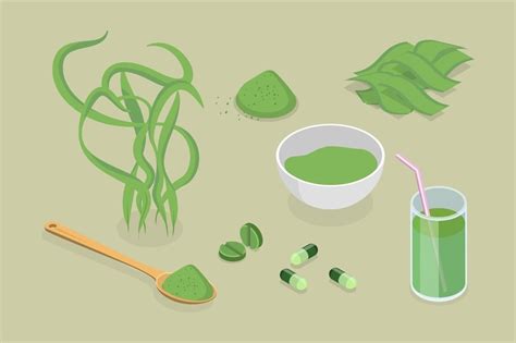 The Potential Of Algae Based Supplements In Nutritional Health