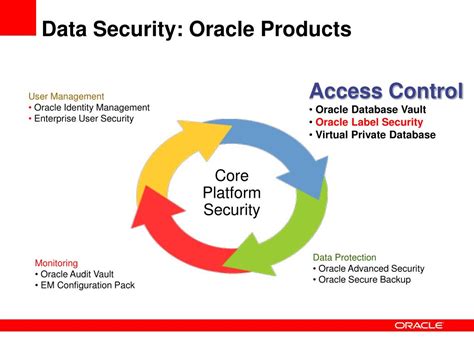 Ppt Oracle Database 11g Lock Down Your Data Powerpoint Presentation