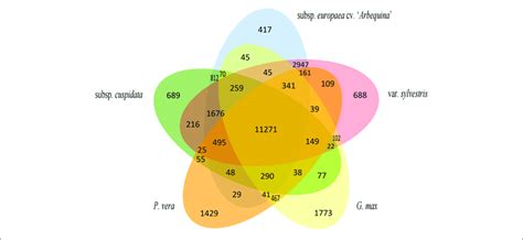 Petal Diagram Of The Gene Families For Six Oil Species The Middle