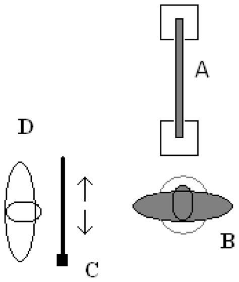 View Of The Experimental Set Up For All Experiments The Participant