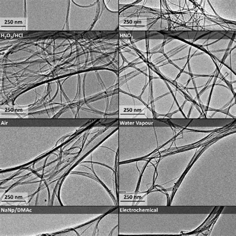 Typical Sem Micrograph Of Swcnts Before And After The Purification