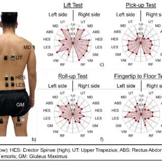 Setup And Electrodes Positioning A B And Average Activation For Lift Download Scientific