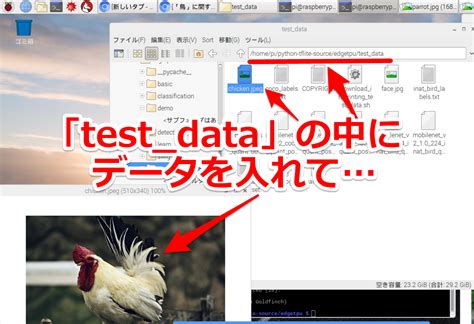 Google Edge TPUを購入してラズベリーパイと機械学習してみた