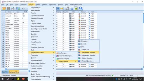 Spss Ile Mann Whitney U Testi Resimli Spss Yardimi İstatİstİk Merkezİ