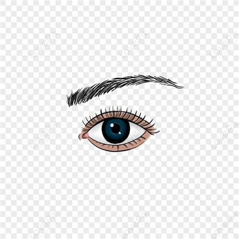 Realistic Blue Eyes Eyebrowsclose Upeyelasheseyelash Png Image And