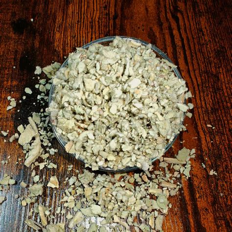 Mullein Verbascum Thapsus Rogue Apothecary Herbs