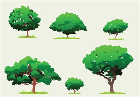 Tree Vector Art Free At Vectorified Com Collection Of Tree Vector Art Free Free For Personal Use
