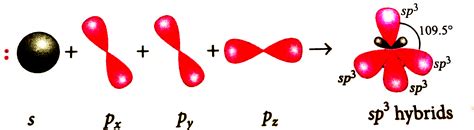 Two Orbitals With Linear Orientation