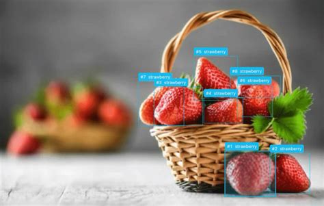 Exploring Human In The Loop In Machine Learning Basicais Blog