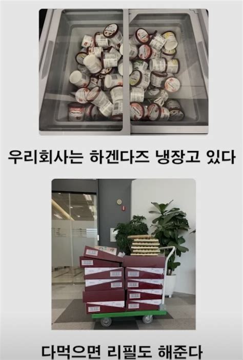 로스트아크 인벤 지리는 회사 복지 ㄷㄷㄷㄷ 로스트아크 인벤 자유 게시판