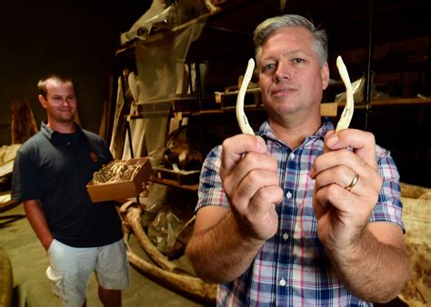 Long Forgotten Secrets Of Whale Sex Revealed The Washington Post