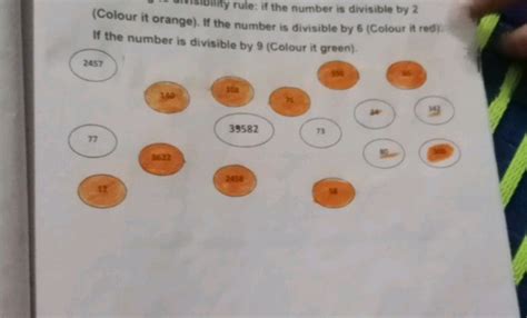 IDility Rule If The Number Is Divisible By 2 StudyX
