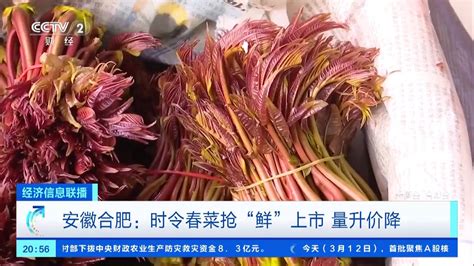 时令春菜抢“鲜”上市！香椿、桑葚占据“c位”价格水果枇杷