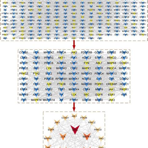 Protein Protein Interaction Mapping And Corresponding Subnetwork Graph Download Scientific