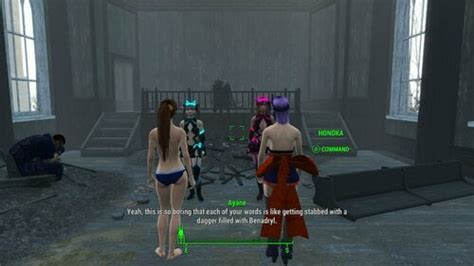 FO DOA Followers Expanded Follower Dialogues Add Ons Patches Companions LoversLab