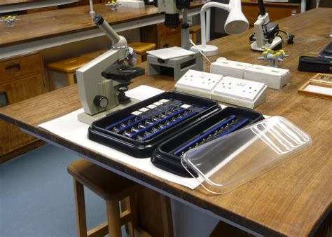 Microscope Slide Staining Tray At Steven Broadnax Blog